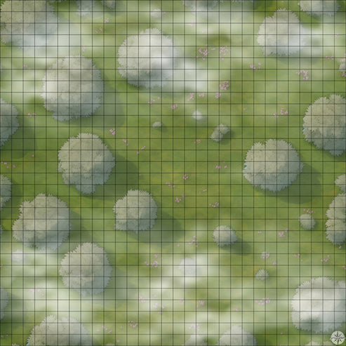 Tree-Filled Meadow Battlemap - TTRPG Map For D&D and Roll20 ...