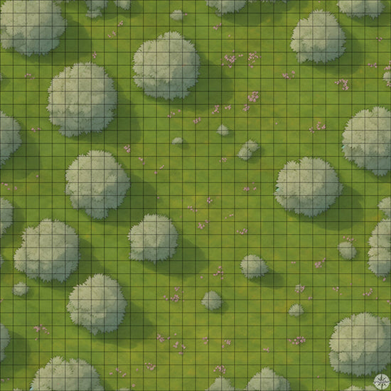Tree-Filled Meadow Battlemap - TTRPG Map For D&D and Roll20 ...