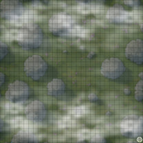 Tree-Filled Meadow Battlemap - TTRPG Map For D&D and Roll20 ...