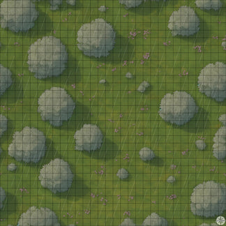 Tree-Filled Meadow Battlemap - TTRPG Map For D&D and Roll20 ...