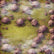 Meadow with Purple Trees and Flowers Battlemap - TTRPG Map For D&D and ...