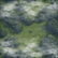 Forest Clearing with Small Stones Battlemap - TTRPG Map For D&D and ...