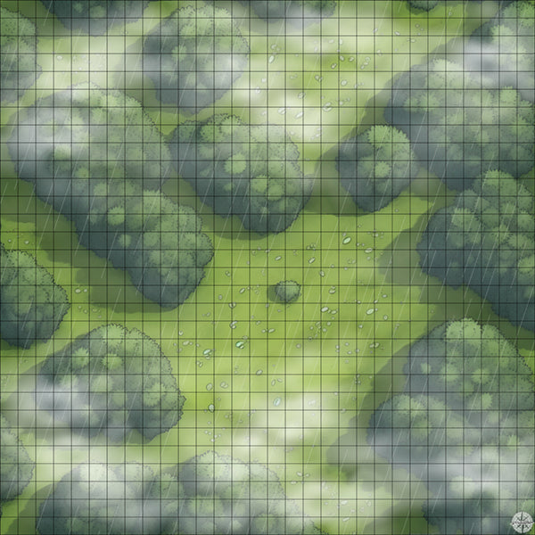 Forest Clearing with Small Stones Battlemap - TTRPG Map For D&D and Roll20 – Mistcharter Maps