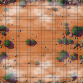 Empty Desert with Rocks and Trees Battlemap - TTRPG Map For D&D and ...